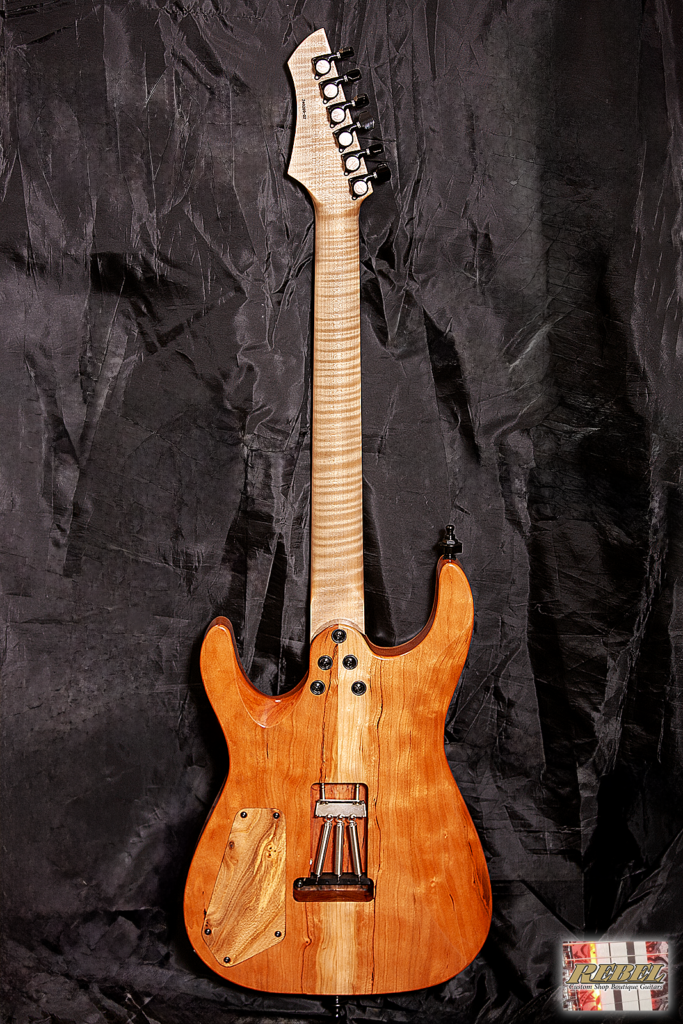 INCARNATE- Double Cutaway Exotic Wood Strat Style with Custom Switching ...