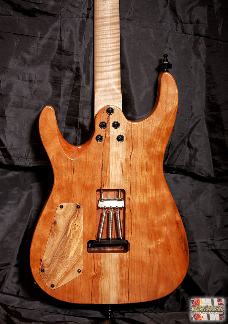 INCARNATE- Double Cutaway Exotic Wood Strat Style with Custom Switching ...