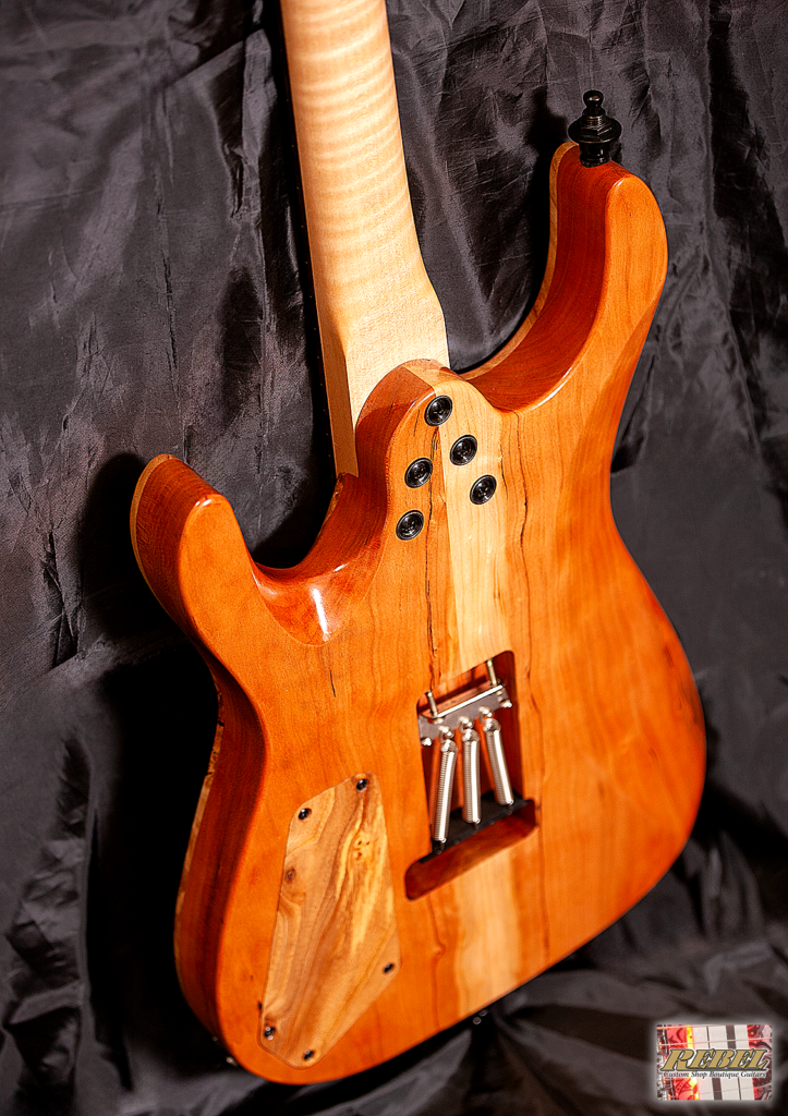 INCARNATE- Double Cutaway Exotic Wood Strat Style with Custom Switching ...
